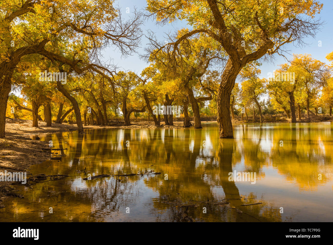 Reflection of the surface of the blue sky in the Alashan Desert Stock ...
