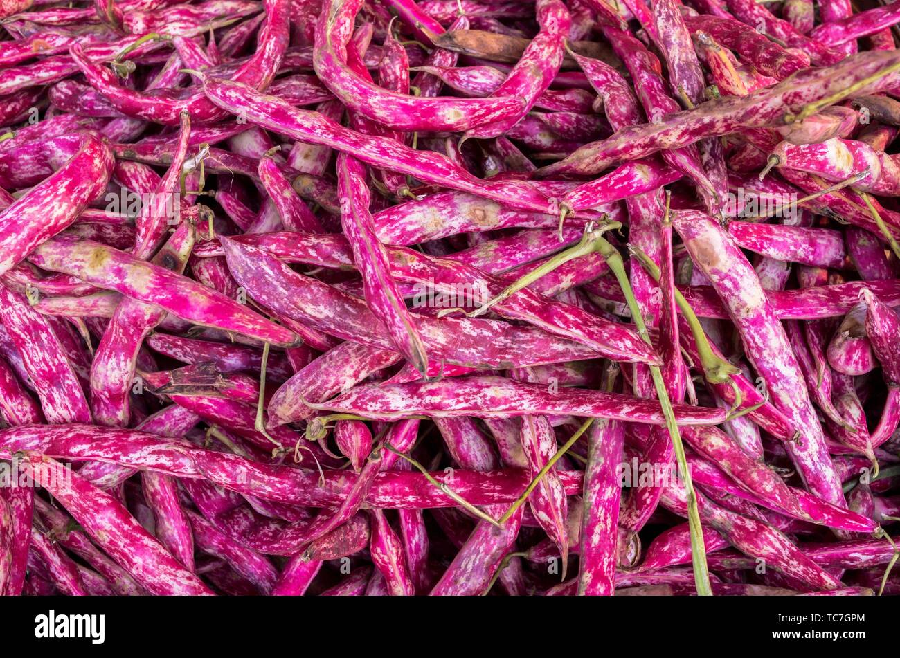 Borlotto hi-res stock photography and images - Alamy