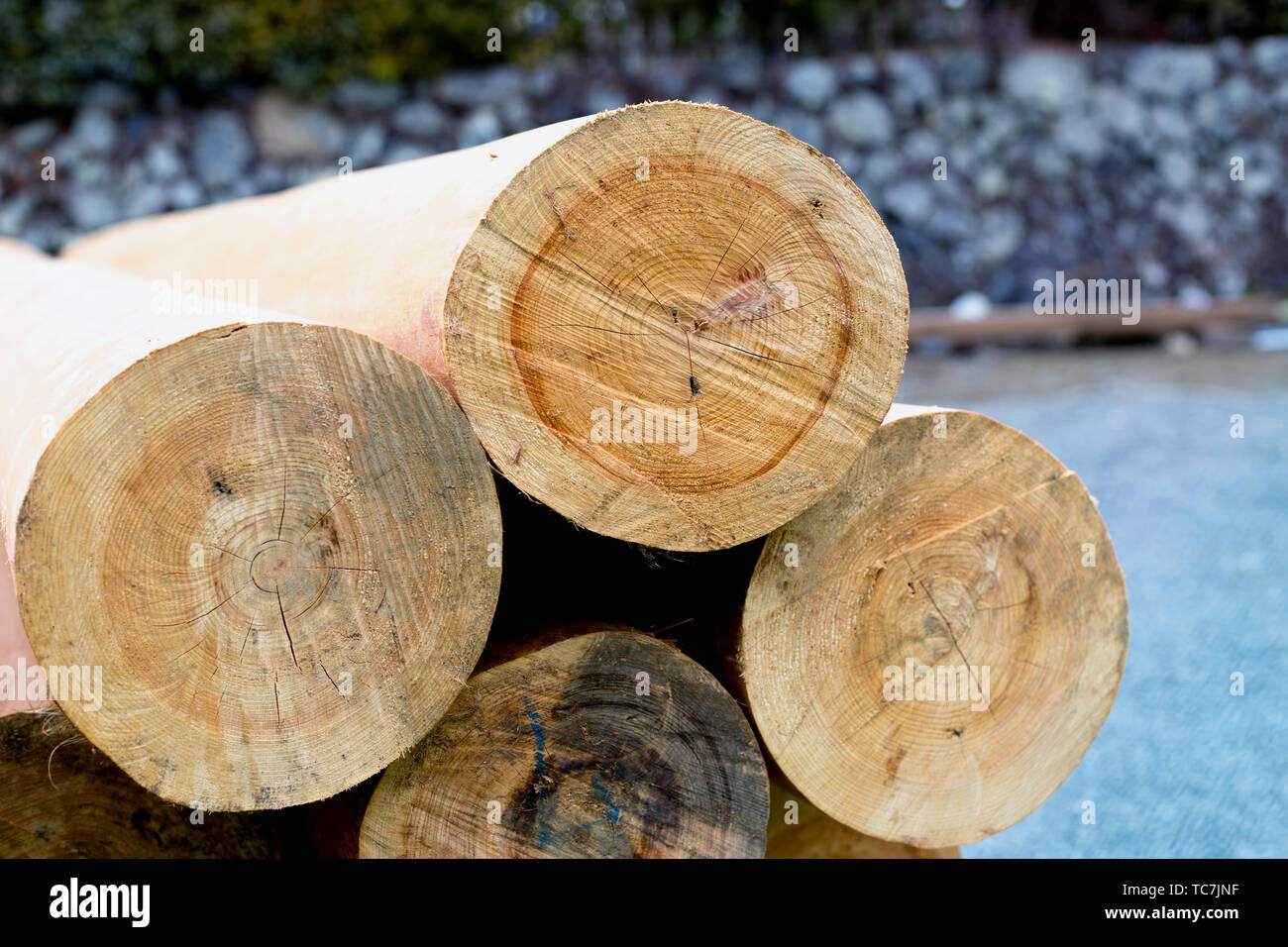 Log of log Stock Photo - Alamy
