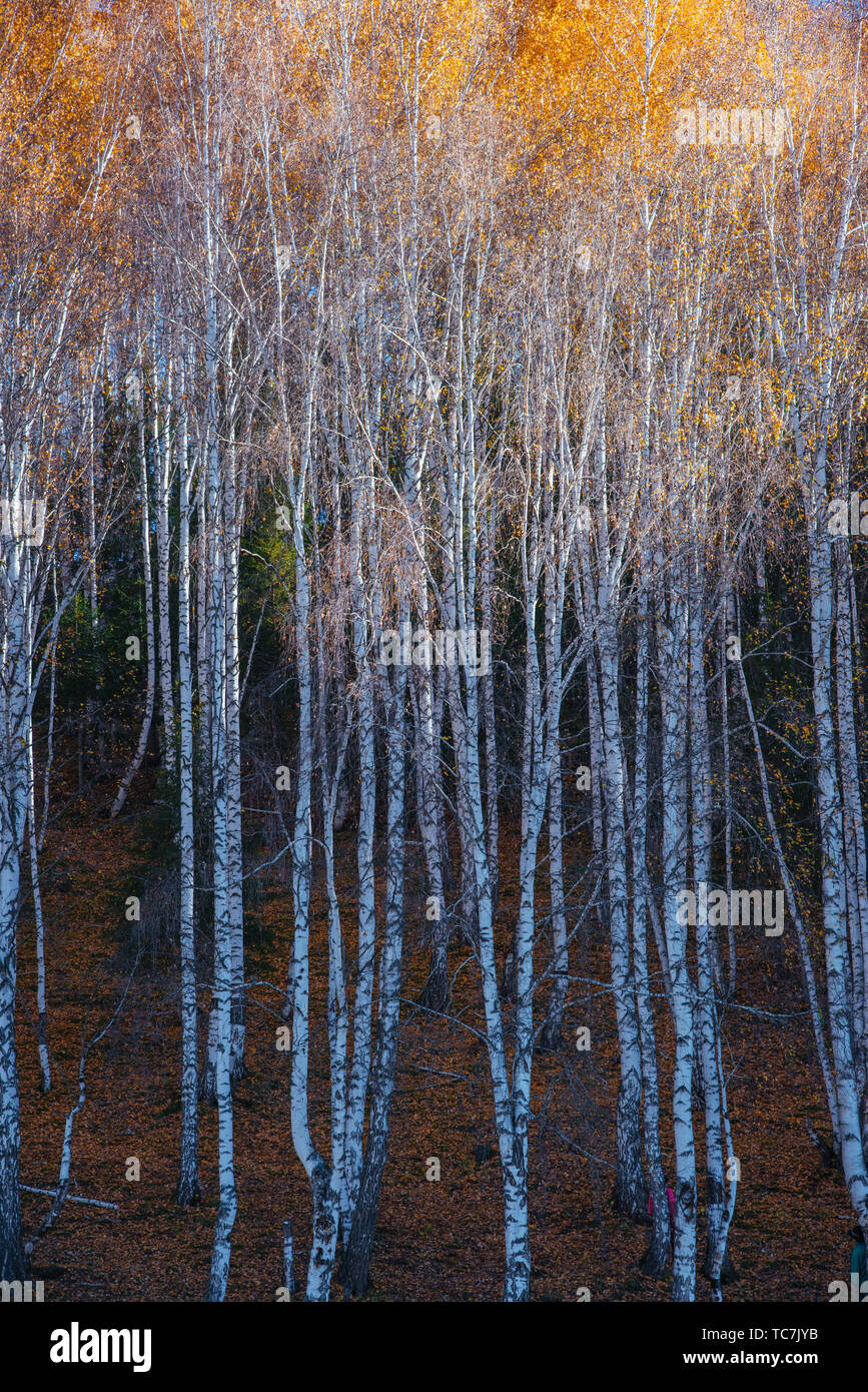 Beautiful country scenery in autumn Stock Photo - Alamy