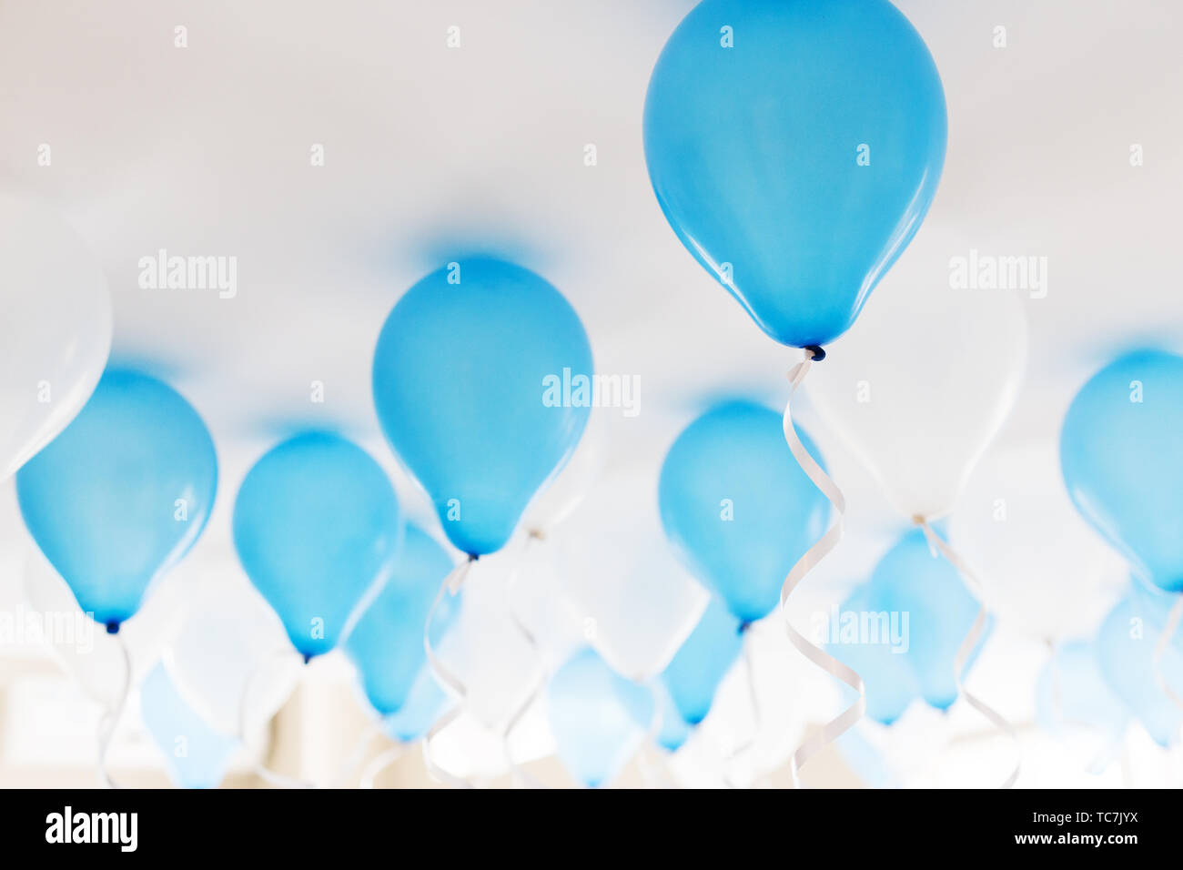 Blue Balloons Photography