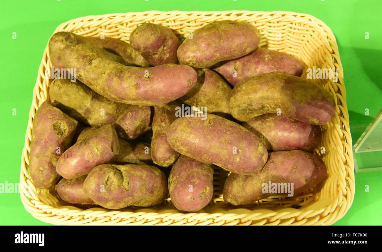 Potato farm pictures hi-res stock photography and images - Alamy