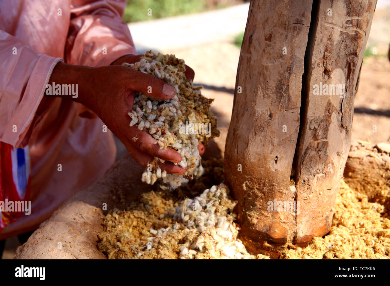Oil extraction, ancient oil extraction technology Stock Photo - Alamy