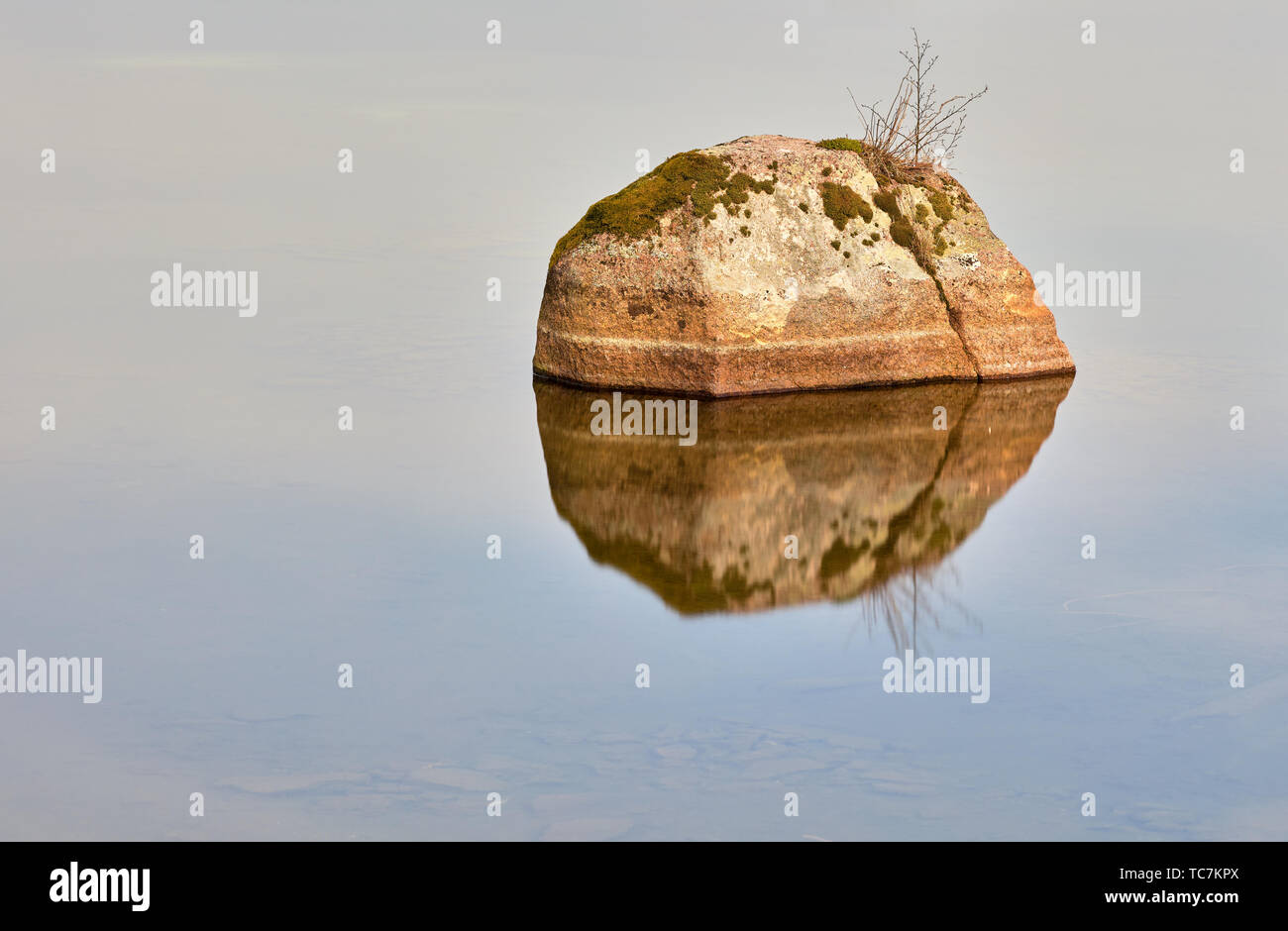 Stone in the water hi-res stock photography and images - Alamy