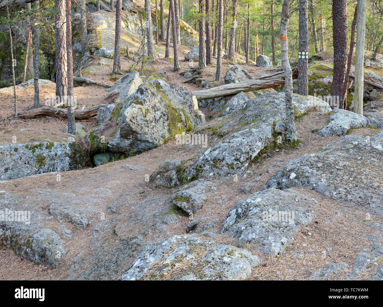 Nationalpark gras hi-res stock photography and images - Alamy
