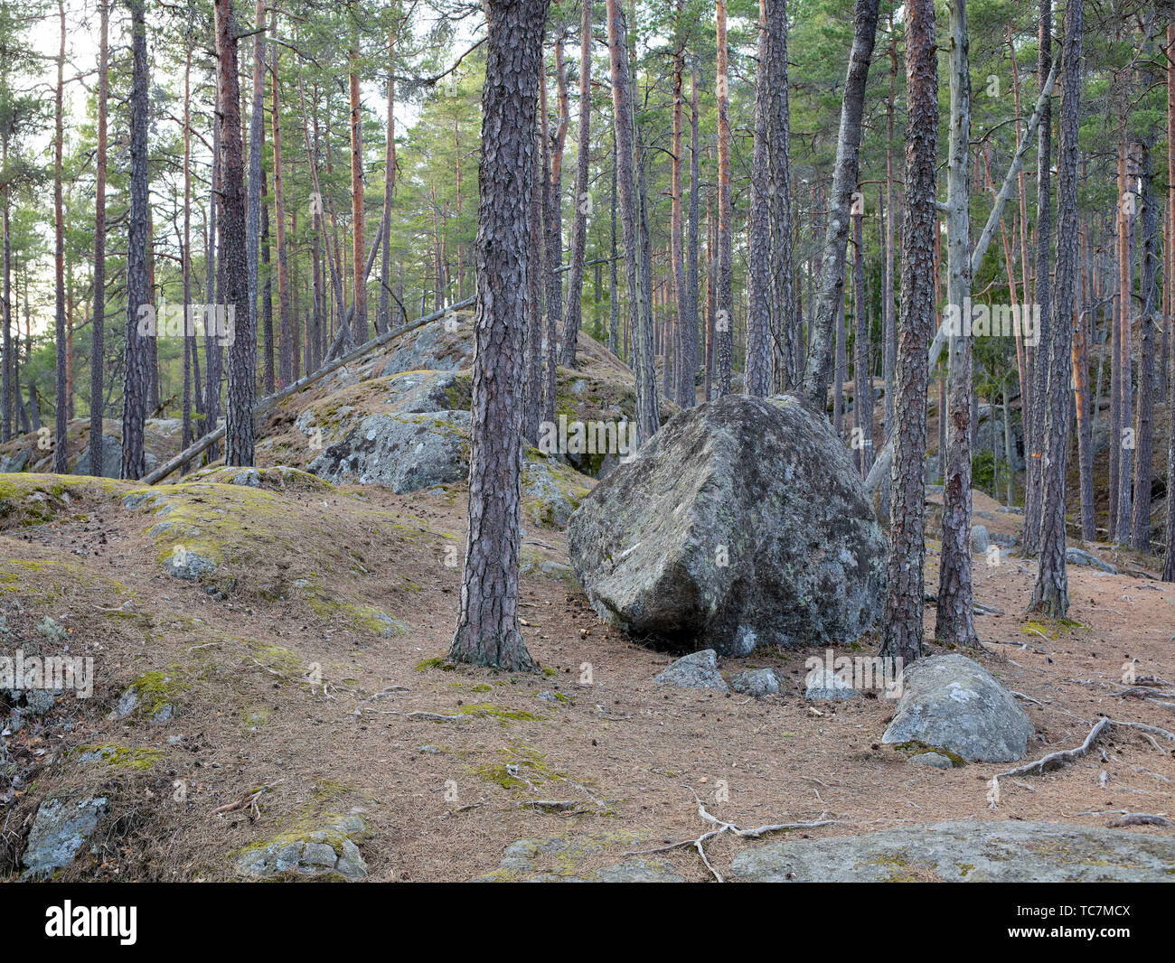 Nationalpark gras hi-res stock photography and images - Alamy