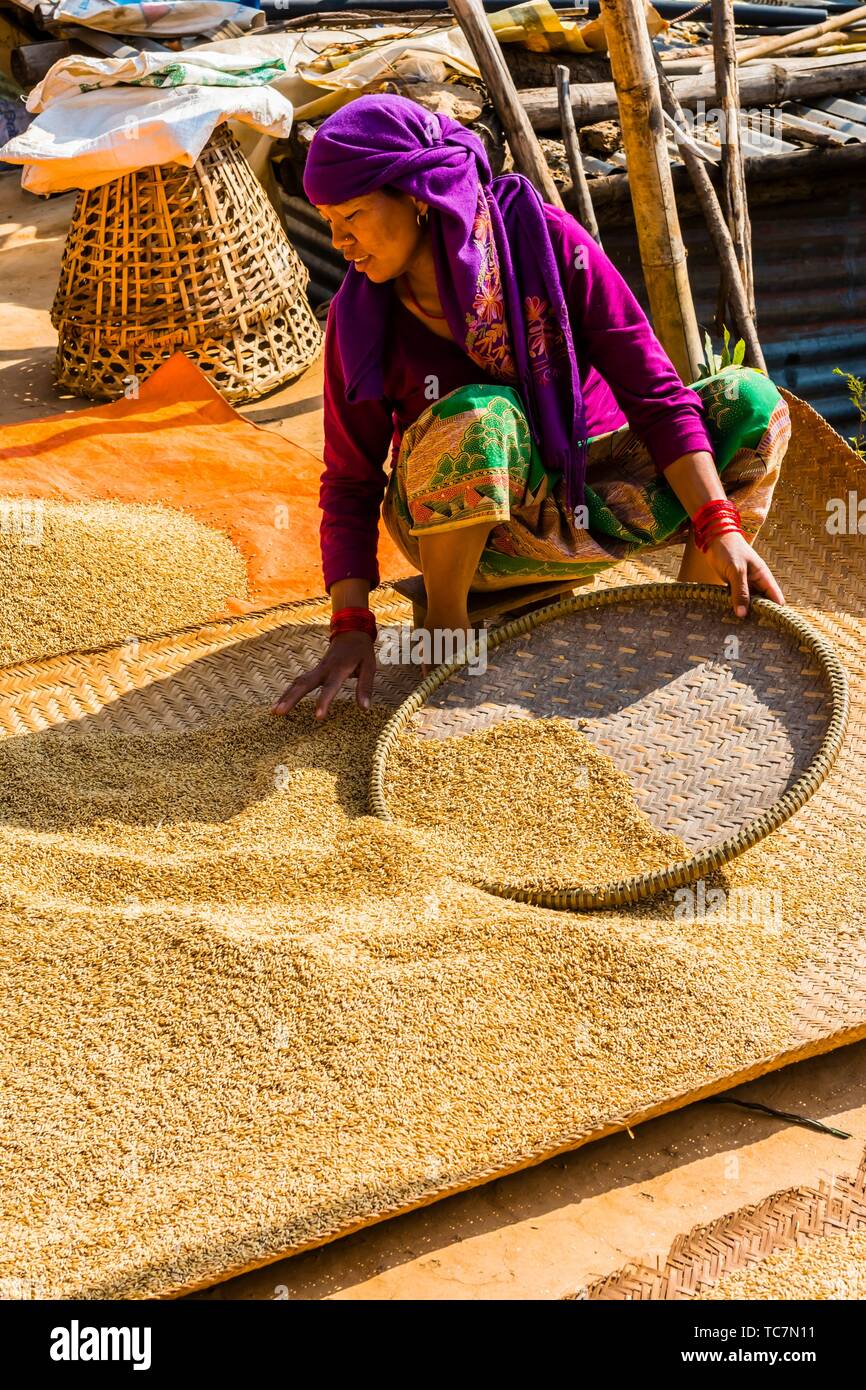 Indian Woman At Village High Resolution Stock Photography and Images ...