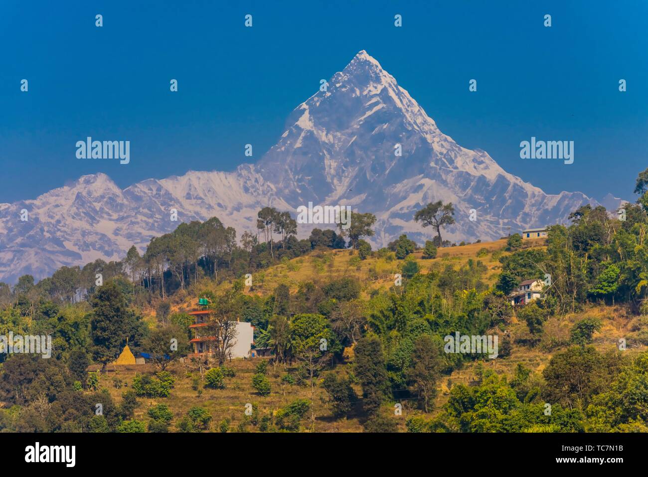 Annapurna Mountain Nepal Range Fish Tail Mountain Pokhara Stock Photos ...