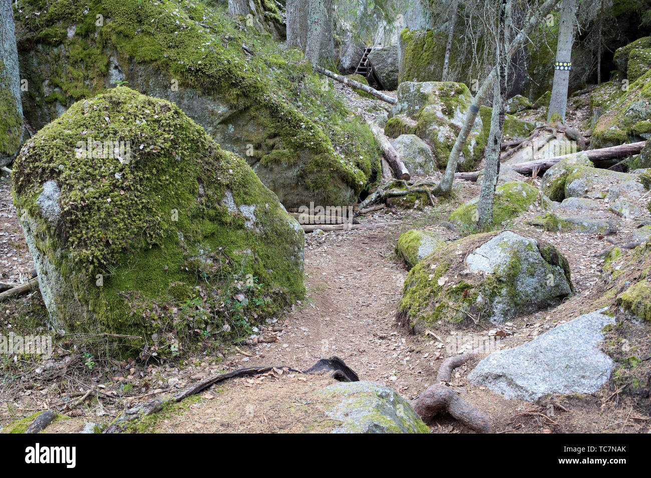 Nationalpark gras hi-res stock photography and images - Alamy
