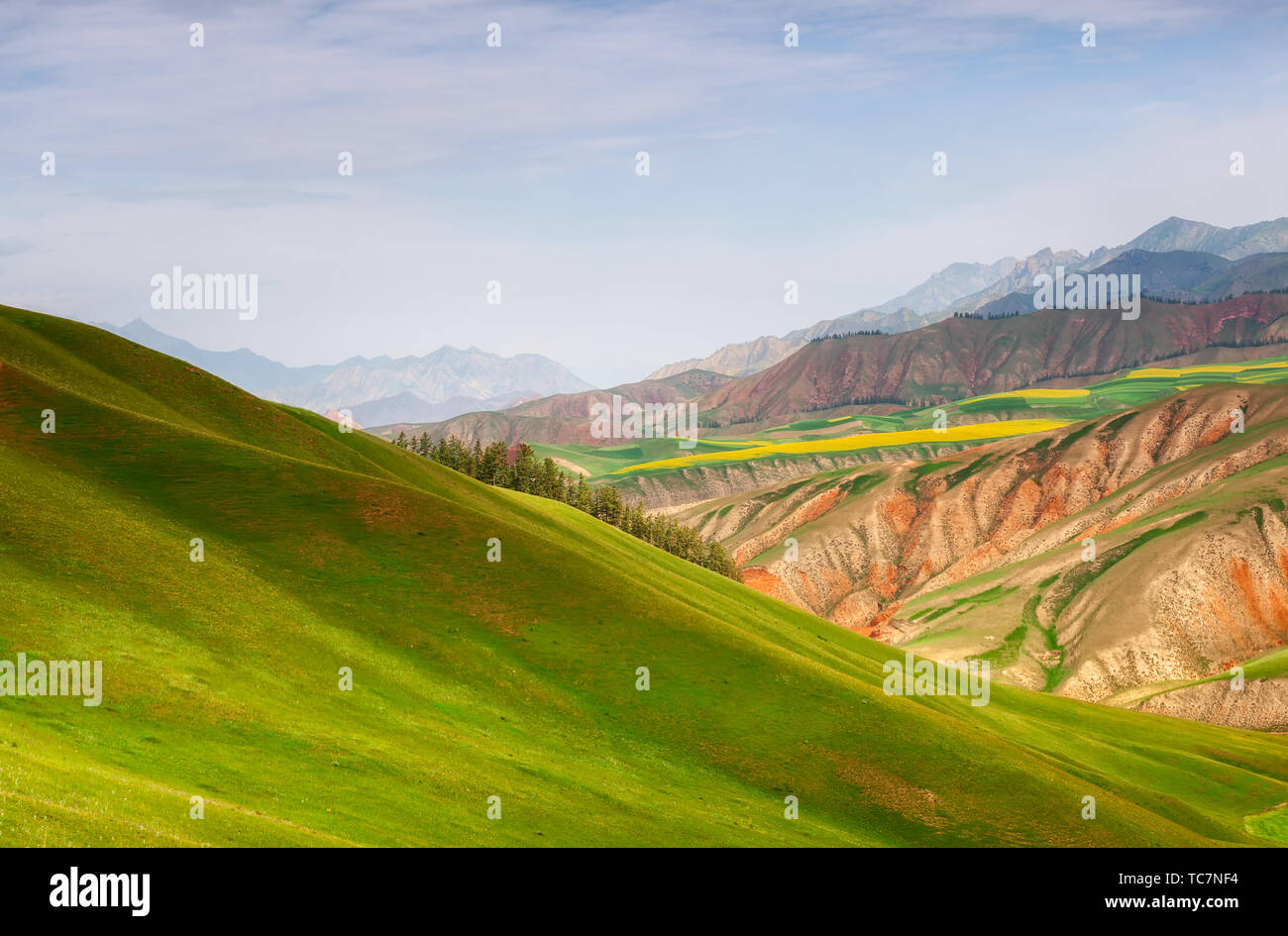 Rural pasture color qilian mountain hi-res stock photography and images ...