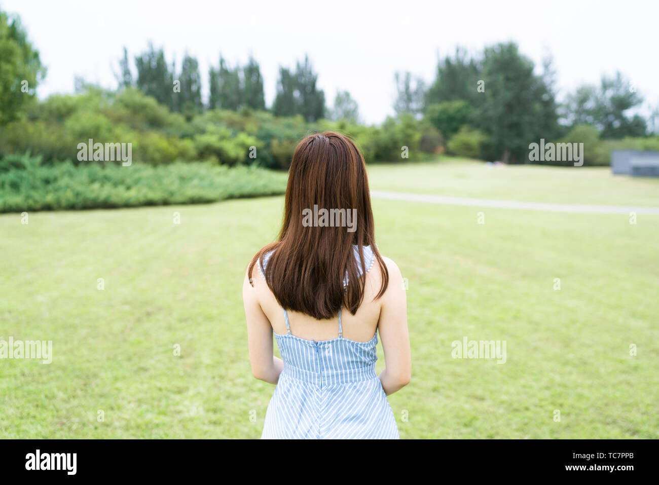The back of a beautiful girl Stock Photo - Alamy