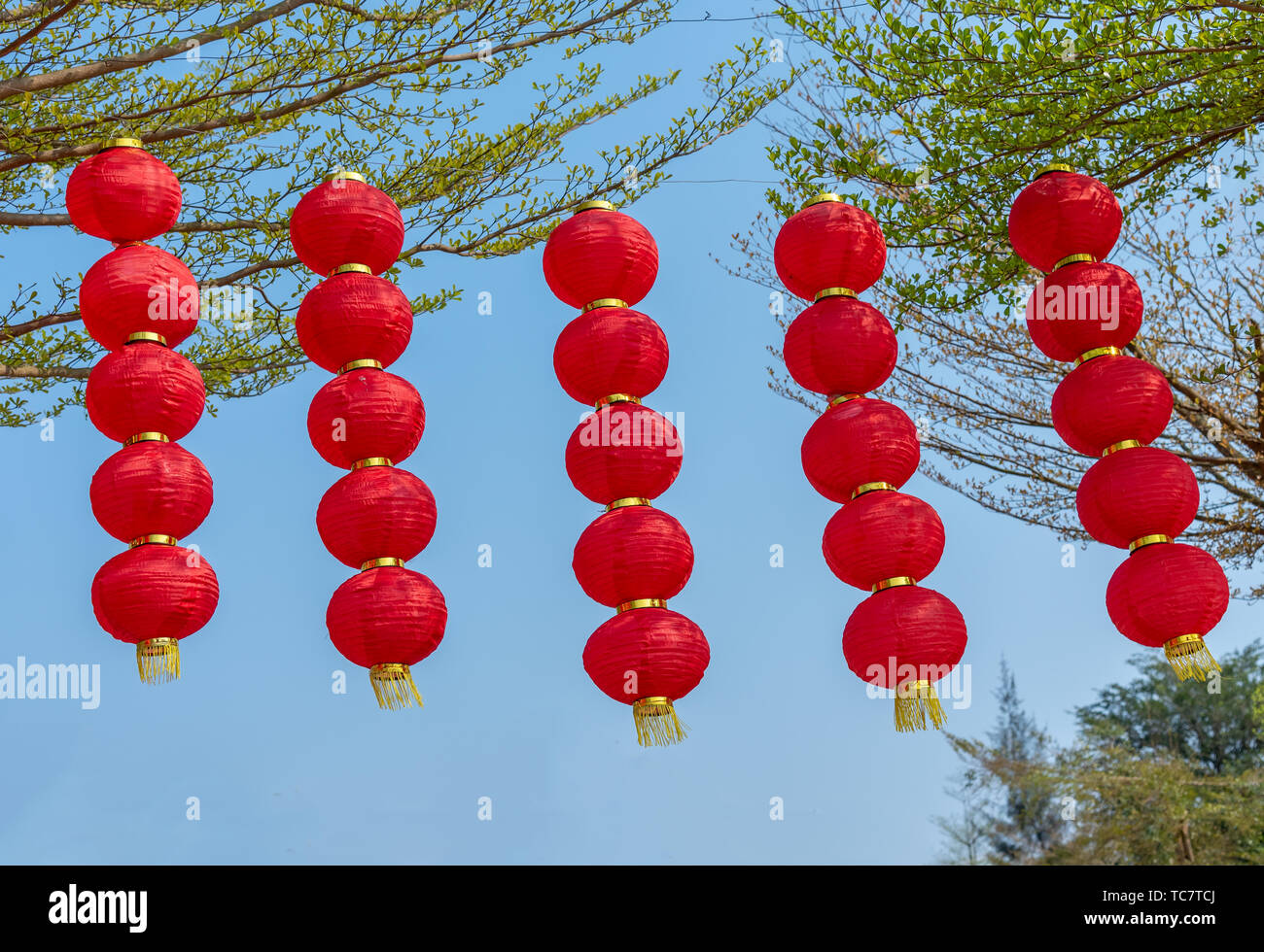 Gorgeous auspicious hi-res stock photography and images - Alamy