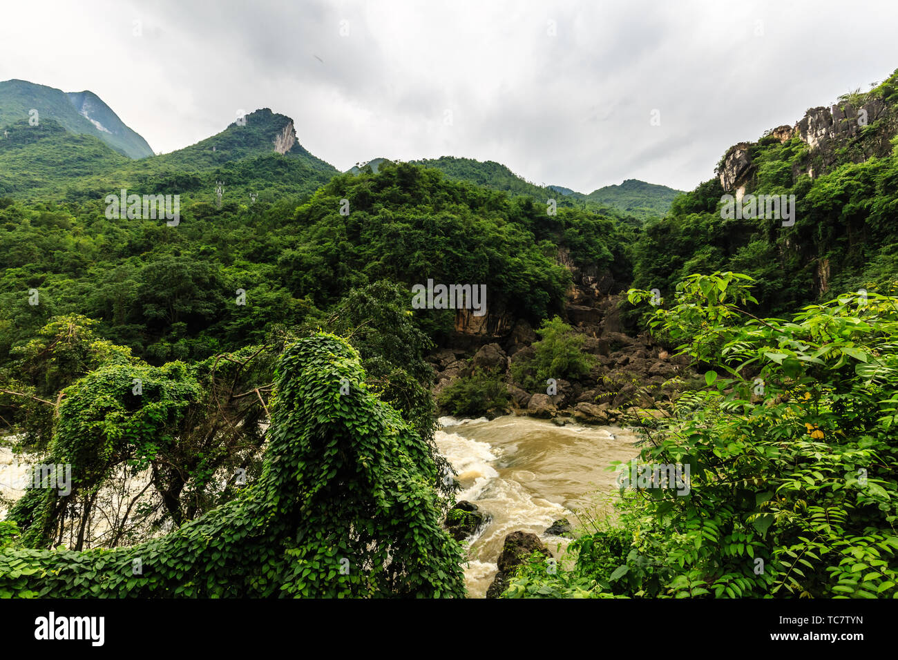 Tianxing hi-res stock photography and images - Alamy