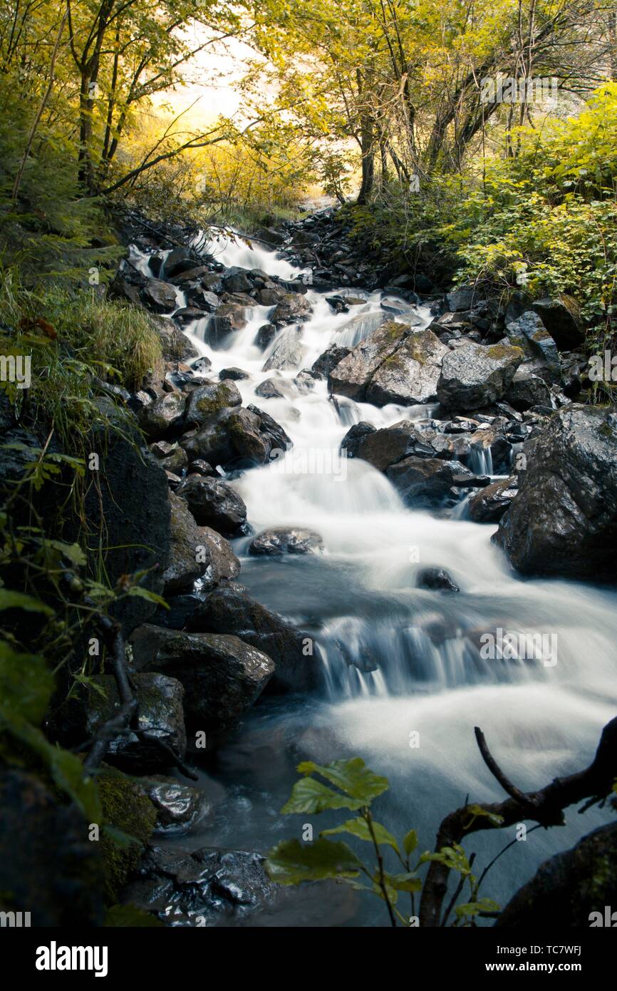 Water trough in alpine in swiss hi-res stock photography and images - Alamy