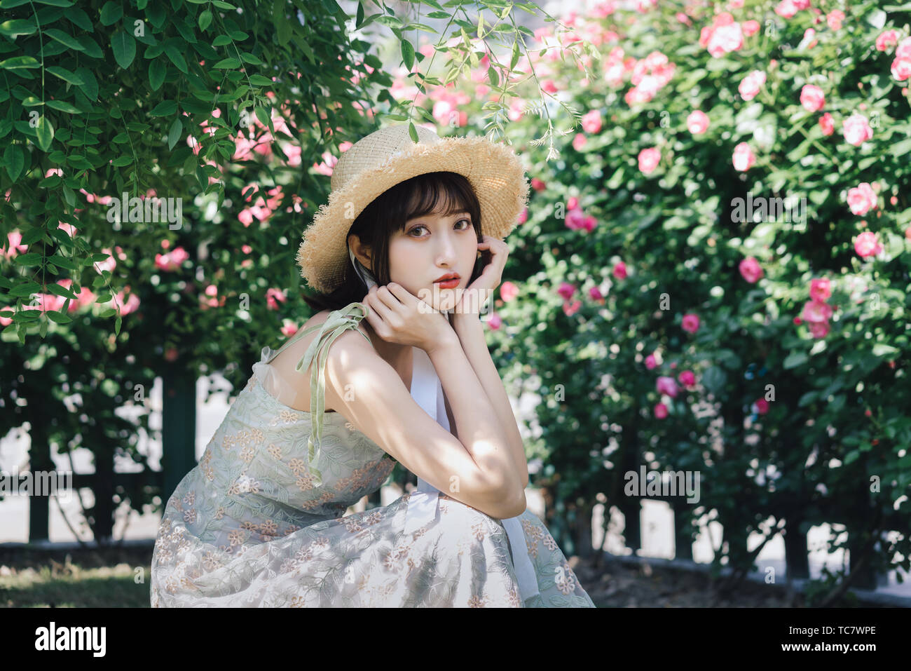 Rose maiden girl hi-res stock photography and images - Alamy