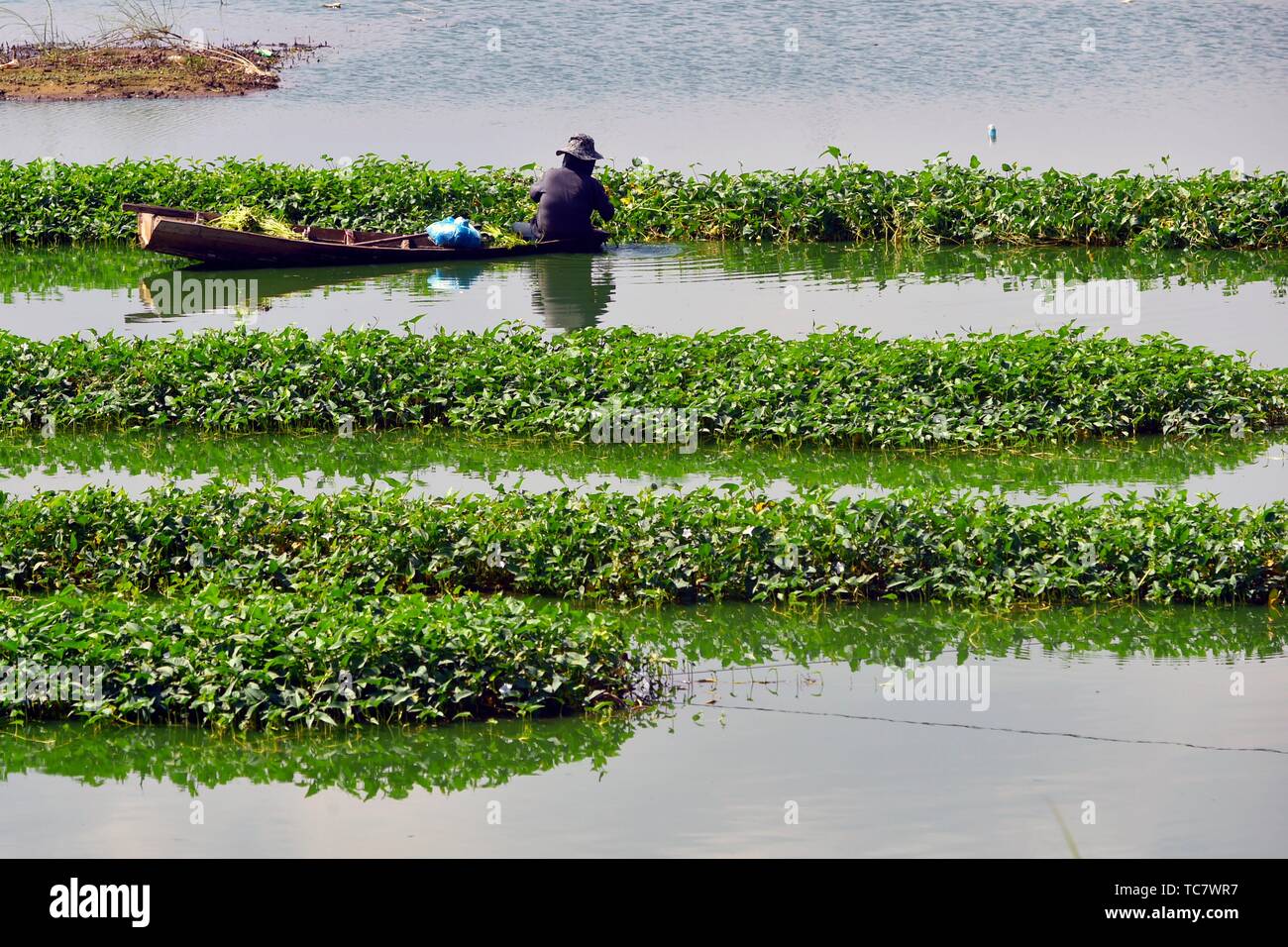 Rural culture hi-res stock photography and images - Alamy