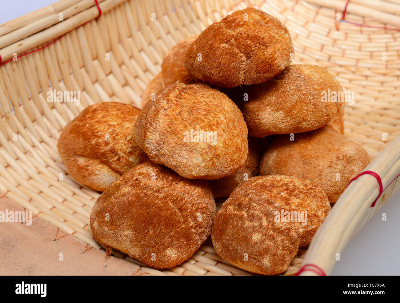 Northeast wild monkey head mushroom Stock Photo - Alamy