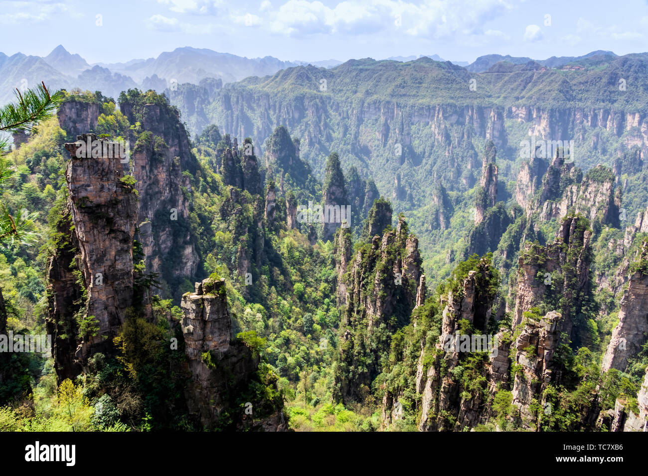 Tianzi mountains, china hi-res stock photography and images - Alamy