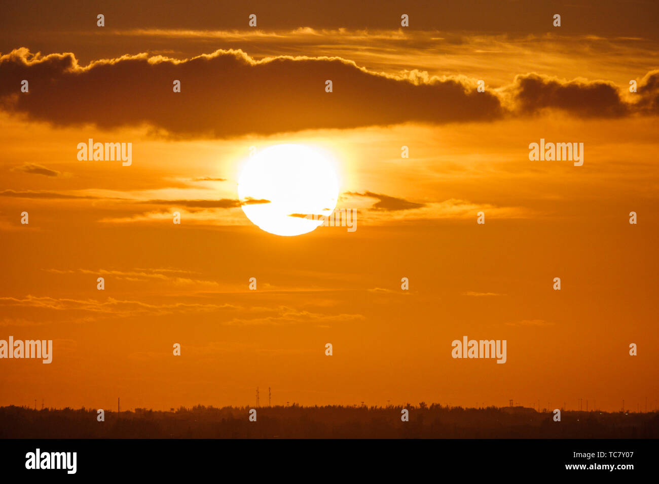 Amber color hi-res stock photography and images - Alamy