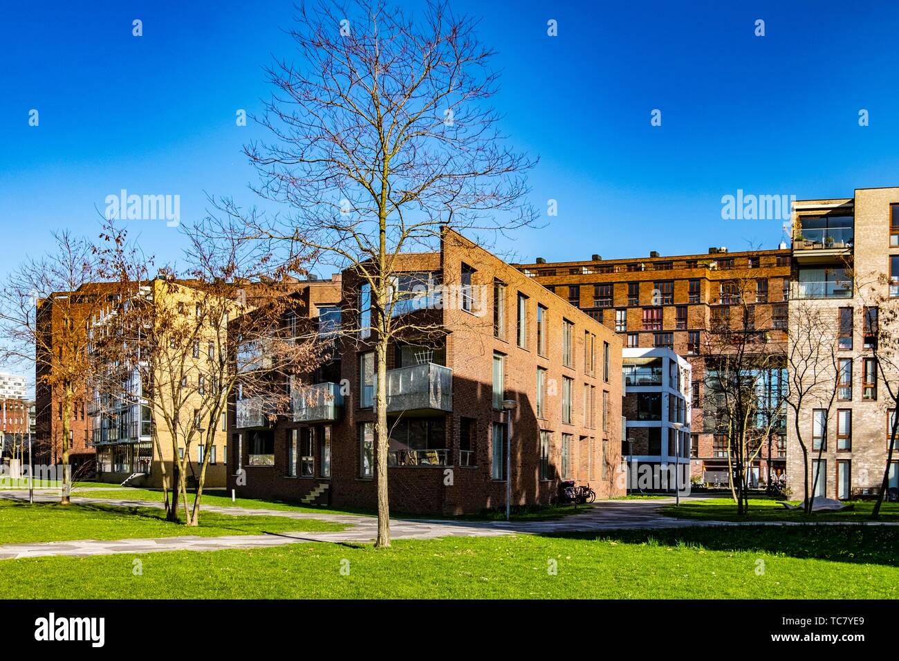 Dutch modernist design hi-res stock photography and images - Alamy
