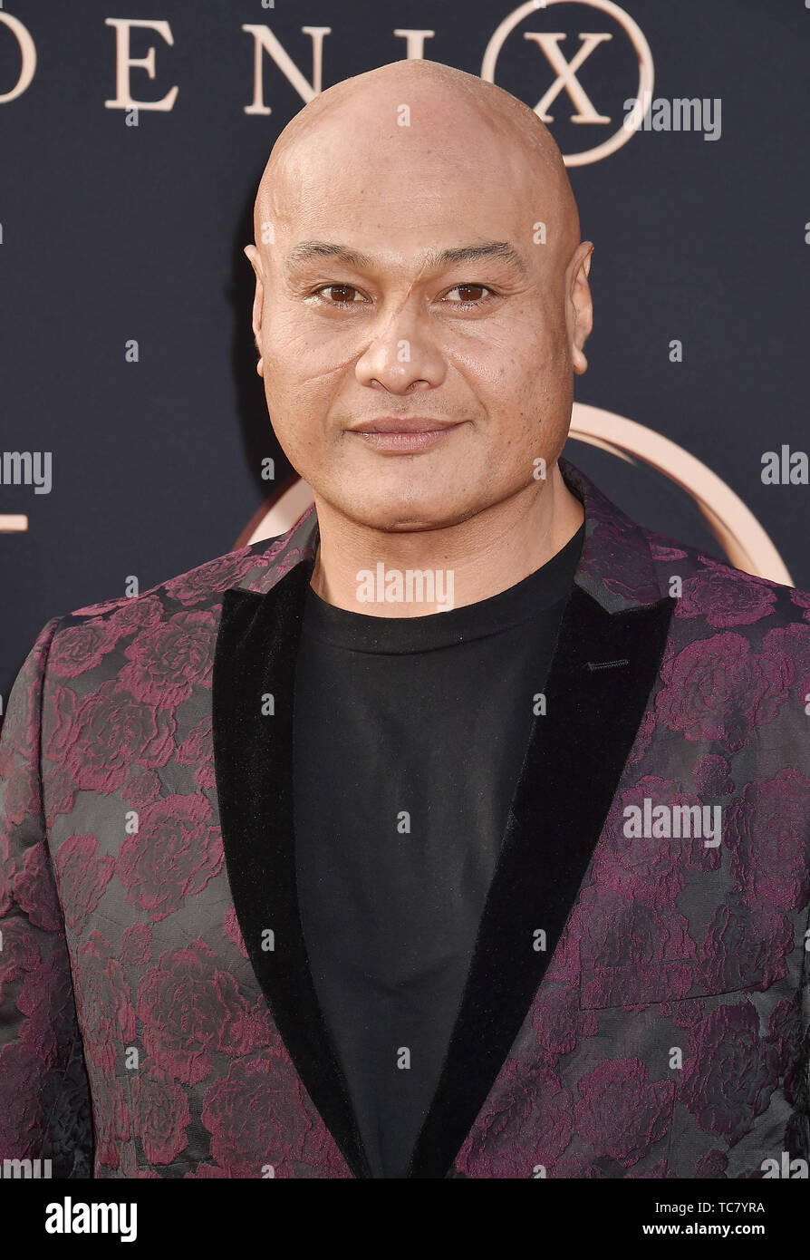 HOLLYWOOD, CA - JUNE 04: Andrew Stehlin arrives at the Premiere Of 20th ...
