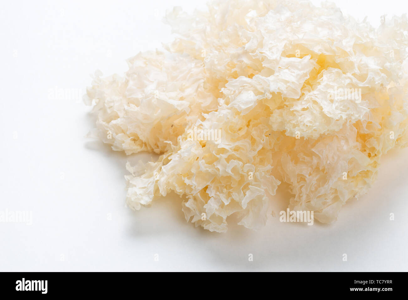 Silver ear fungus tremella fuciformis hi-res stock photography and ...