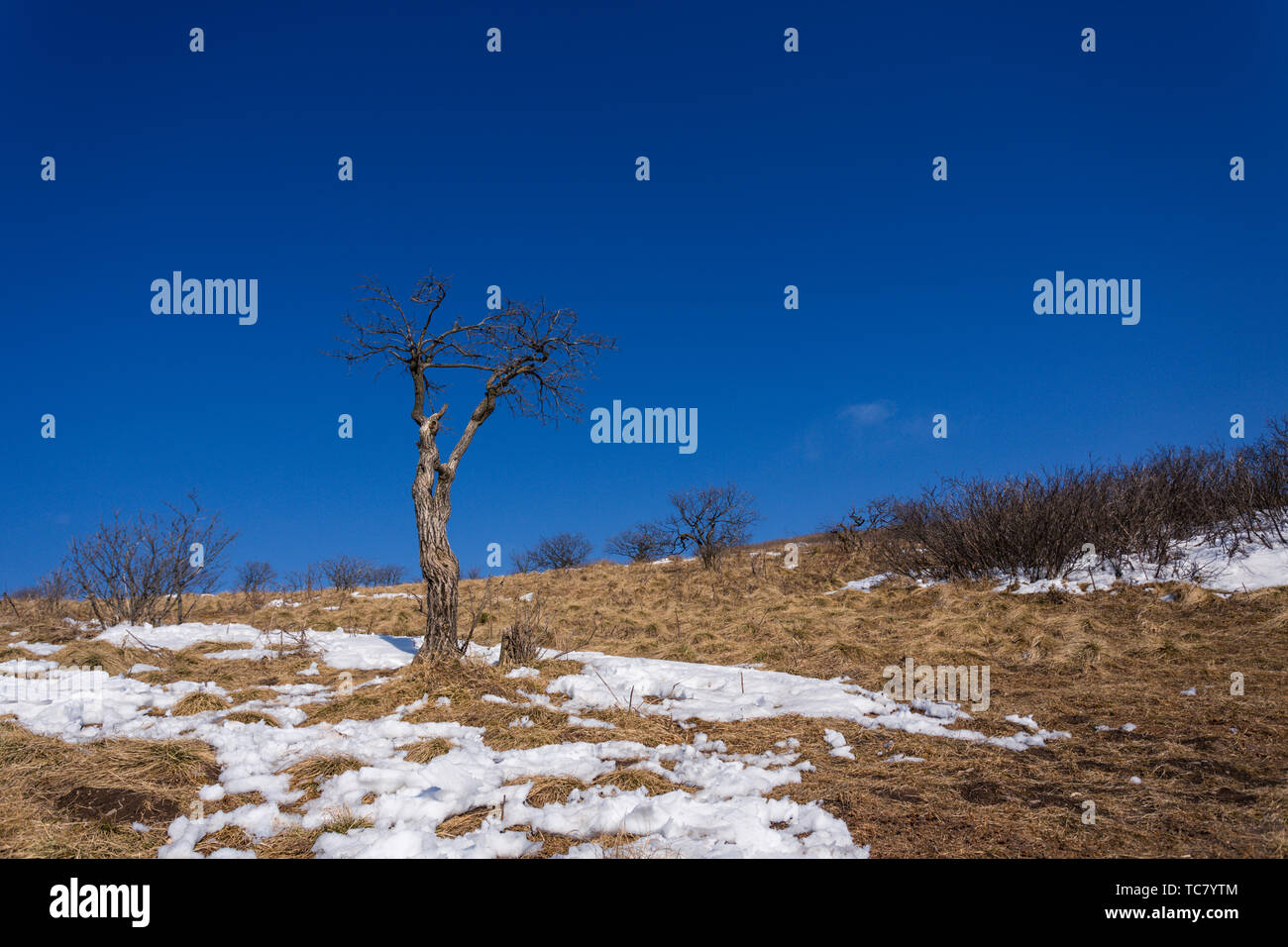 Qinling Snow Mountain Stock Photo - Alamy
