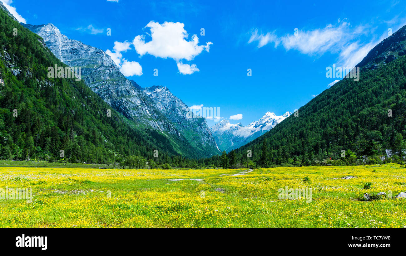 Vision and scenic scenery and hills hi-res stock photography and images ...