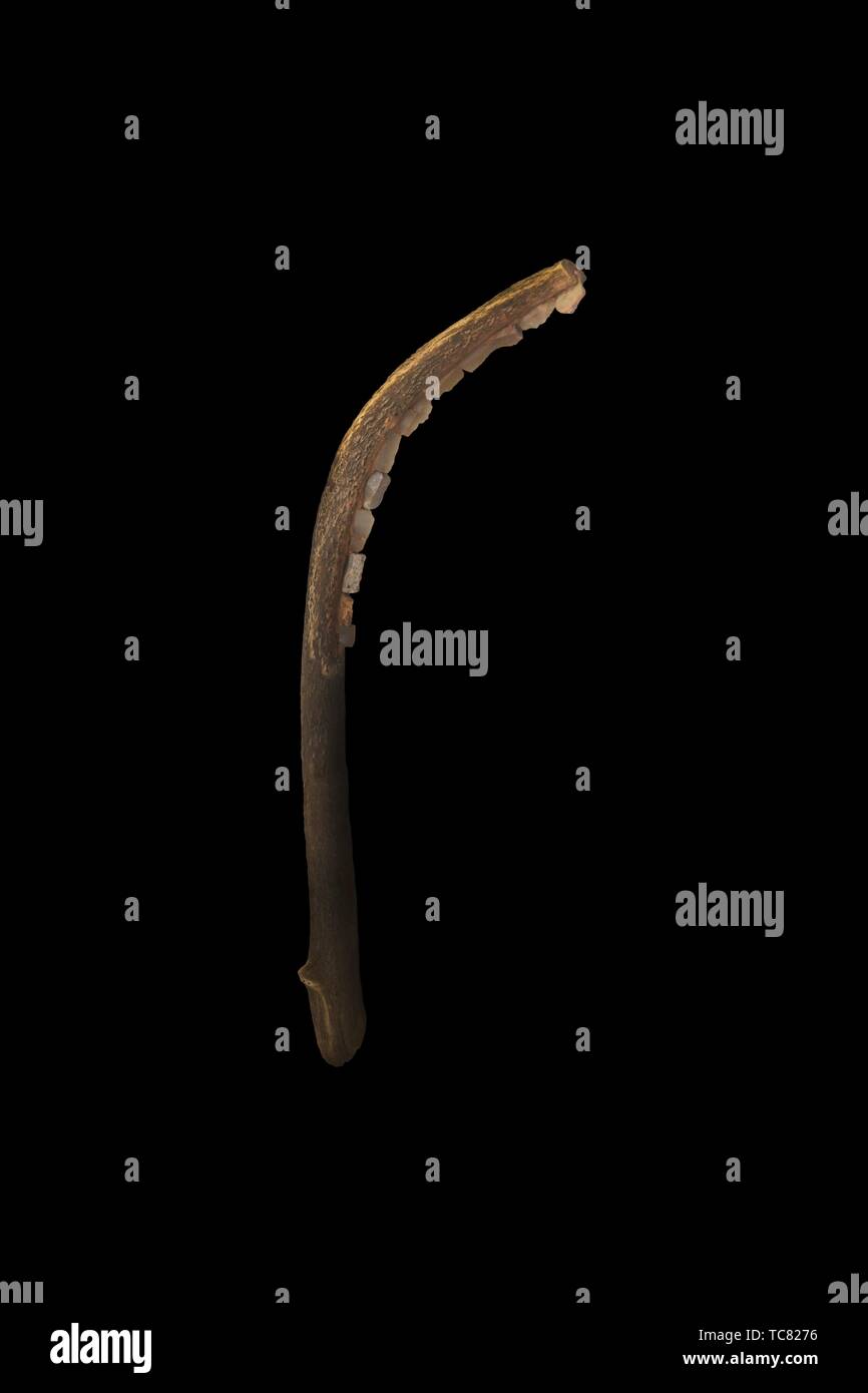 Prehistoric Agriculture Stock Photos & Prehistoric Agriculture Stock ...