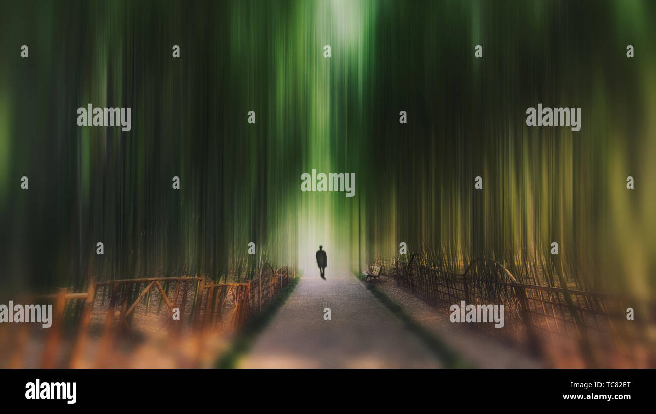 Bamboo forest in cold weather hi-res stock photography and images - Alamy