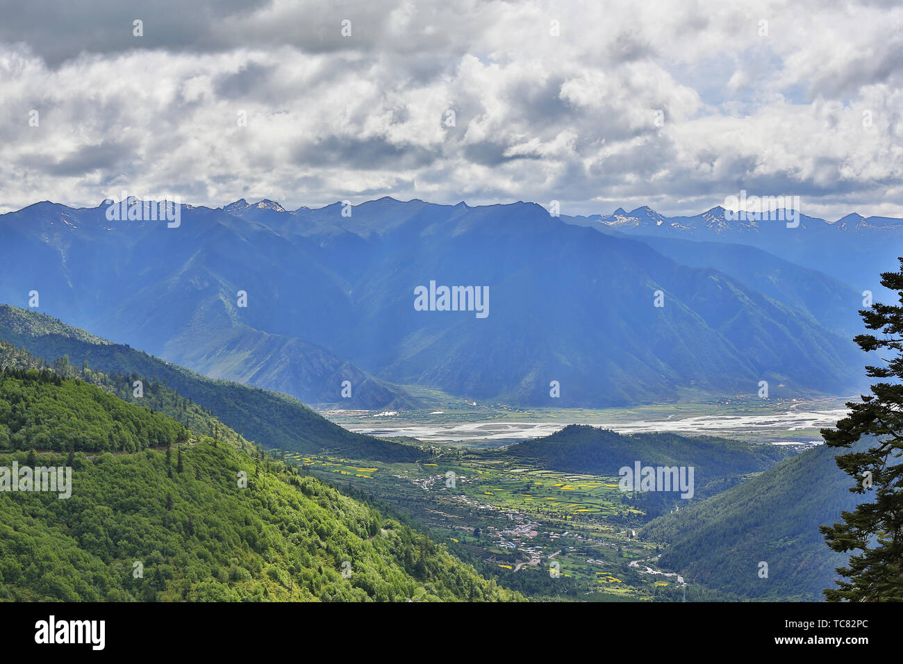 Scenery of Yingzhi Lulang Linhai, Tibet Autonomous Region, China Stock ...