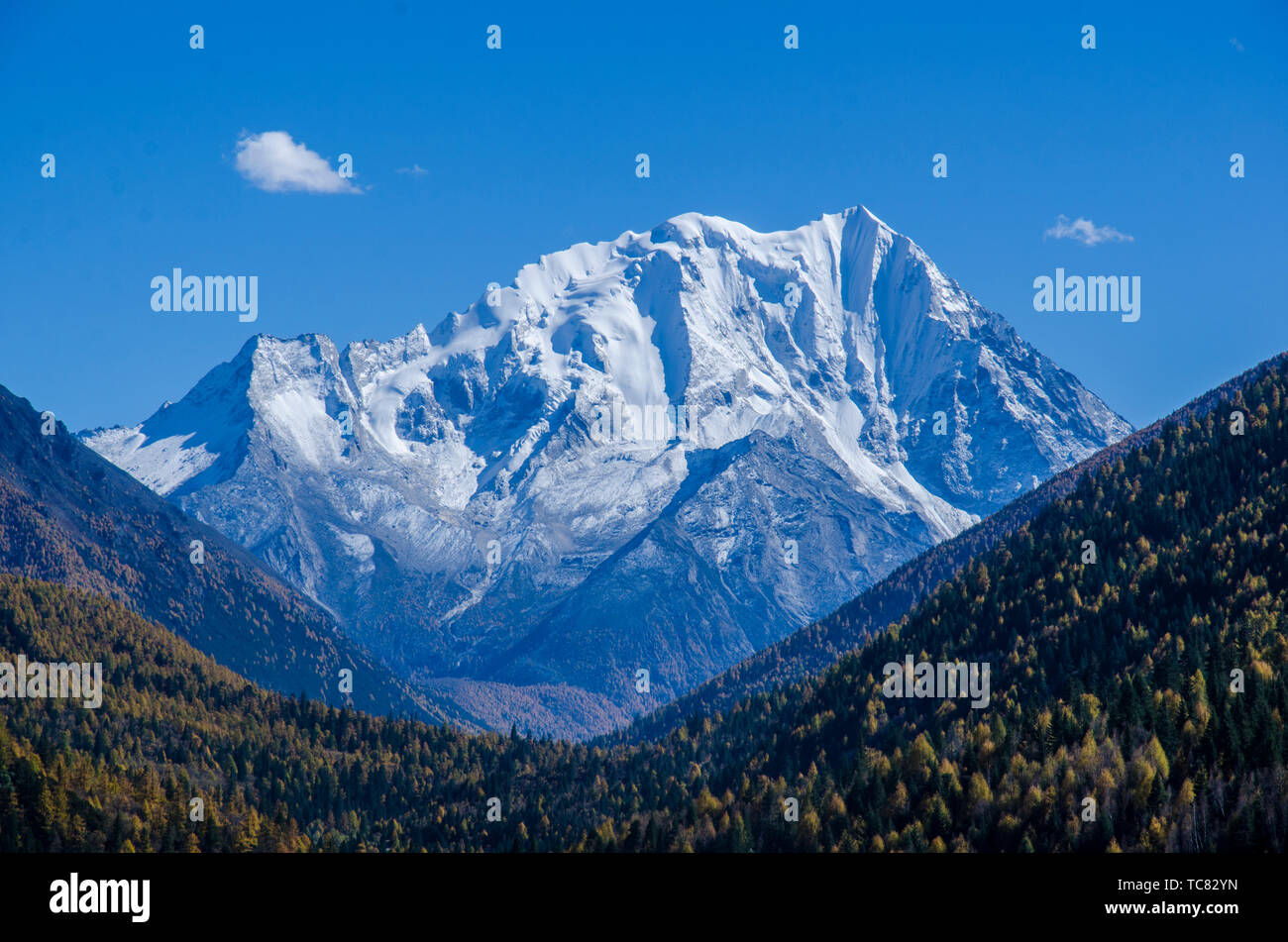 Yala snow hi-res stock photography and images - Alamy
