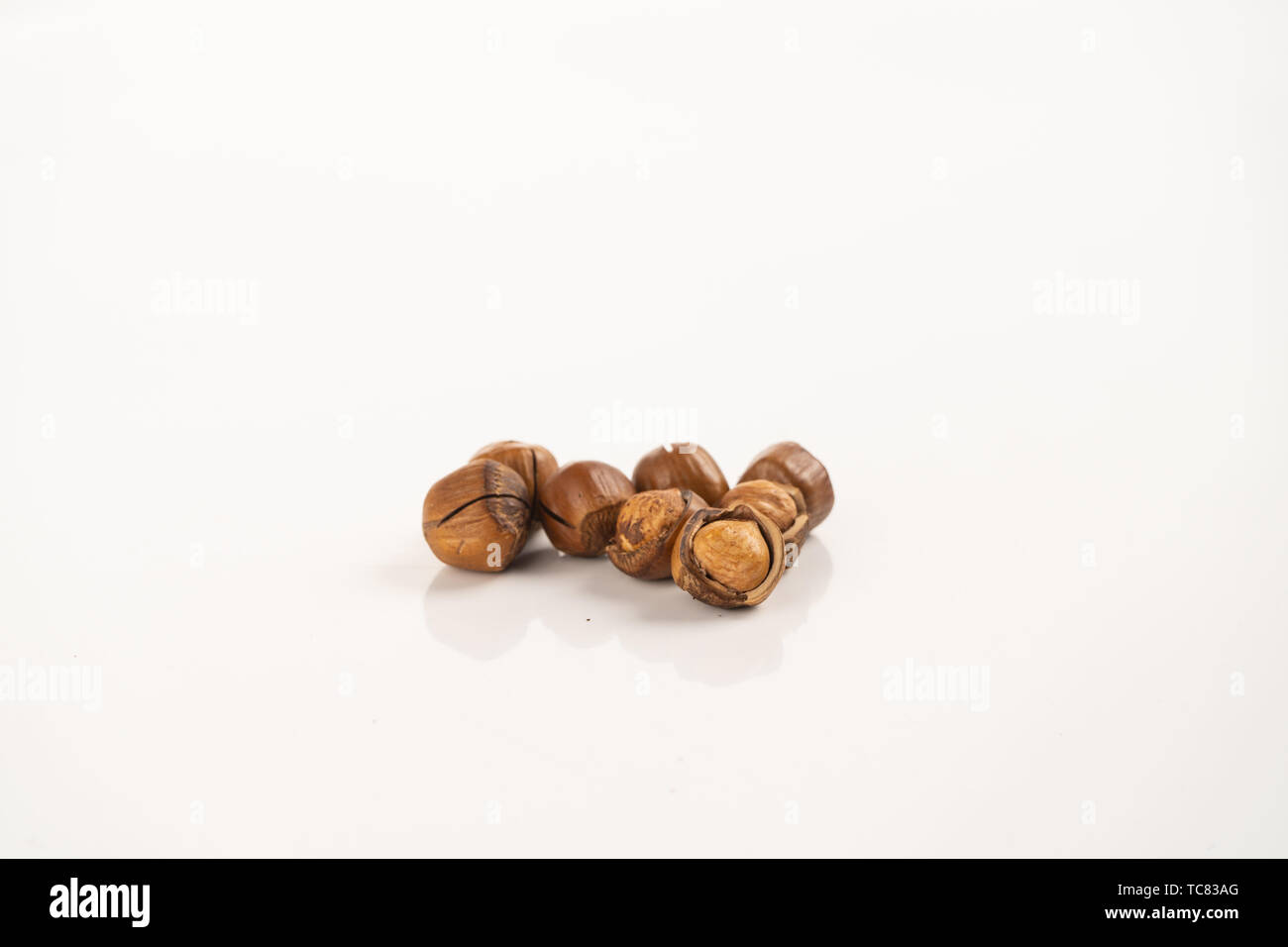 Northeast characteristic open hazelnut Stock Photo - Alamy