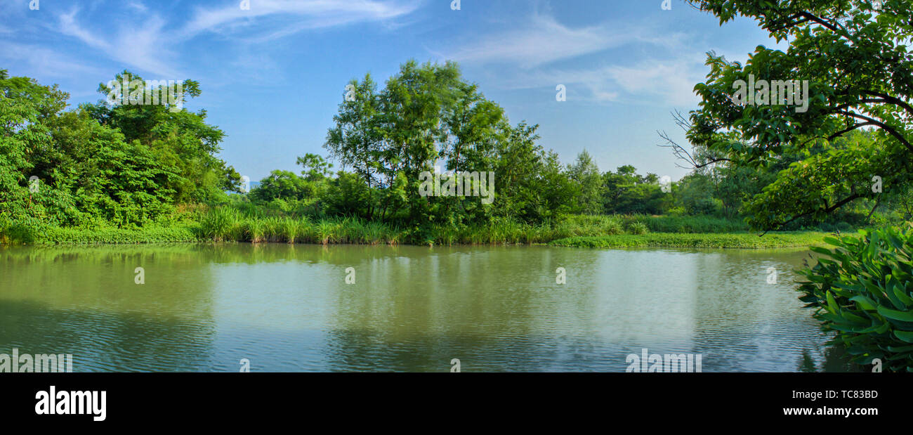 Panorama of Xixi Wetland Park in Hangzhou Stock Photo - Alamy