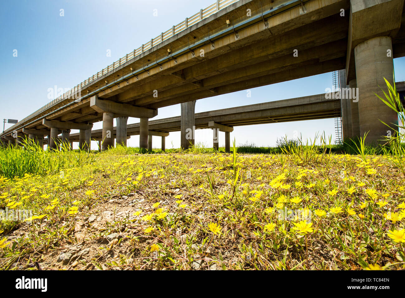 Shijiu lake hi-res stock photography and images - Alamy
