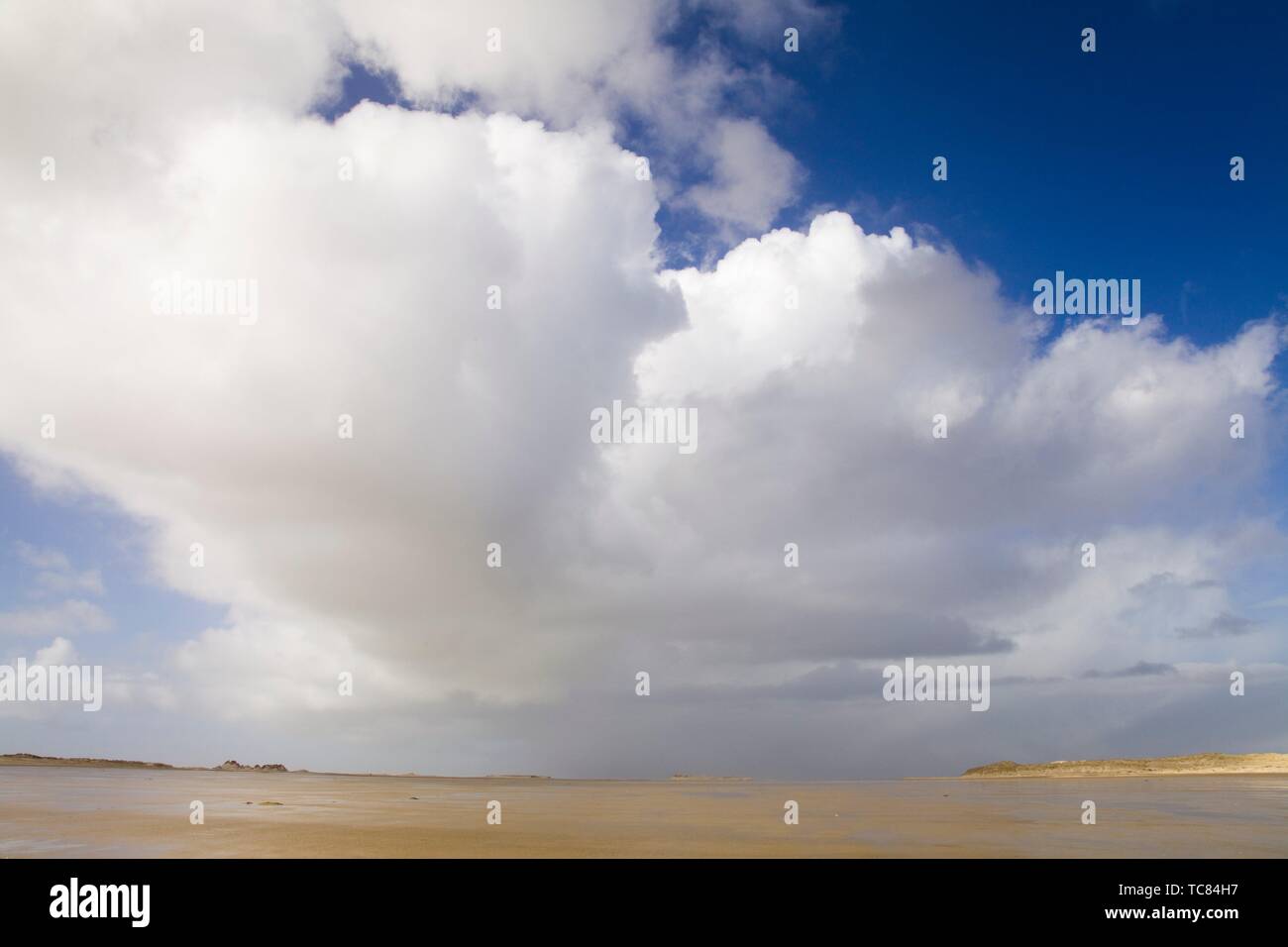 Coast of the netherlands hi-res stock photography and images - Alamy