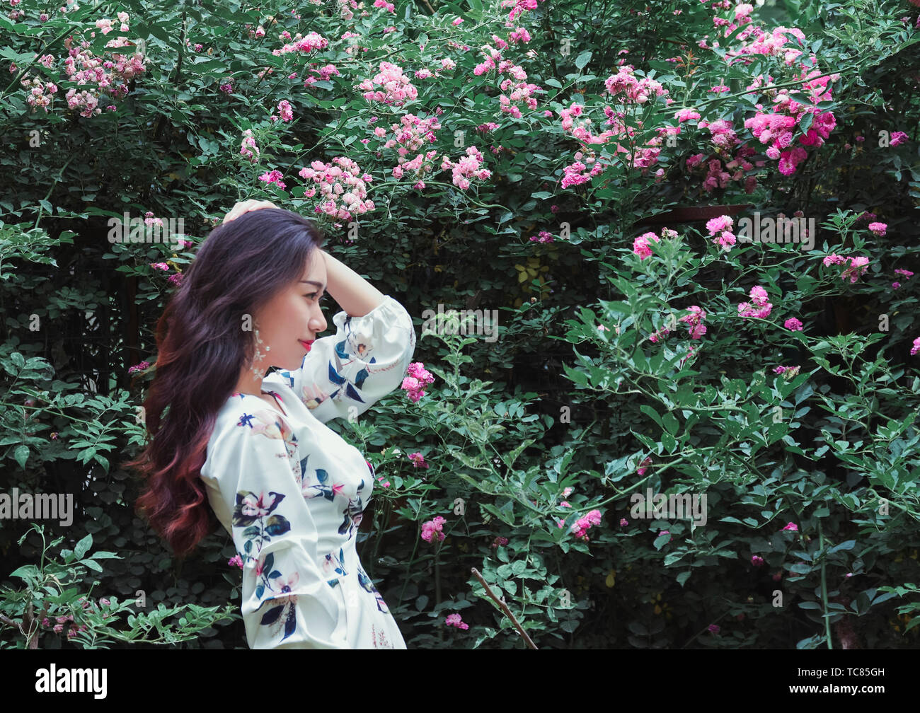 The rose figures Stock Photo - Alamy