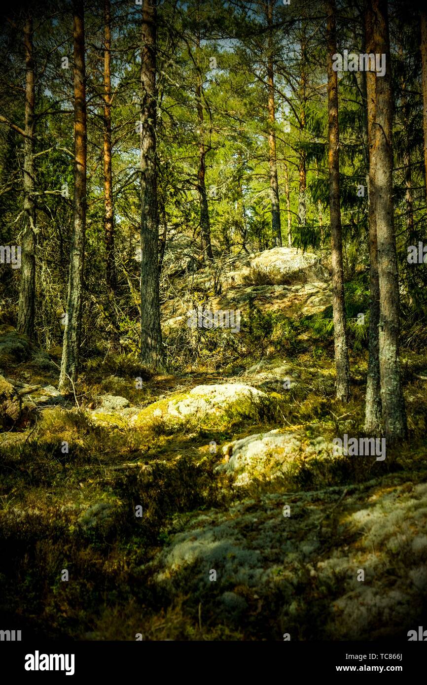 Beech ridge farm hi-res stock photography and images - Alamy