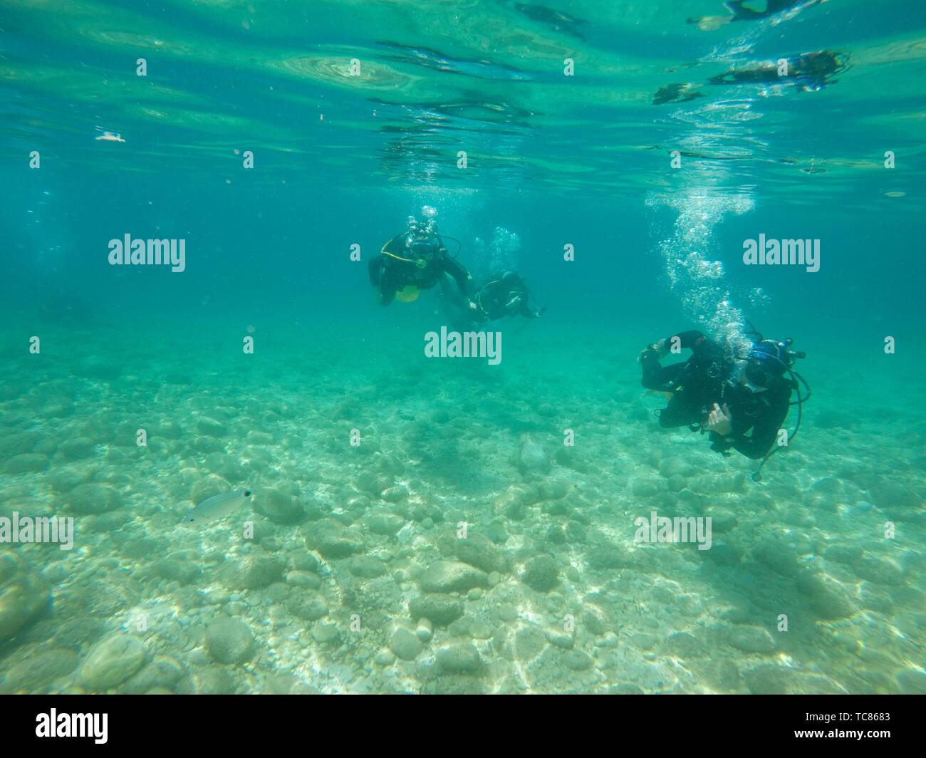 Underwater Penyon de Ifach rock nature reserve in Calpe Alicante ...