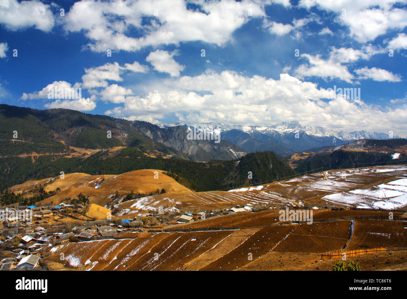 La haba hi-res stock photography and images - Alamy