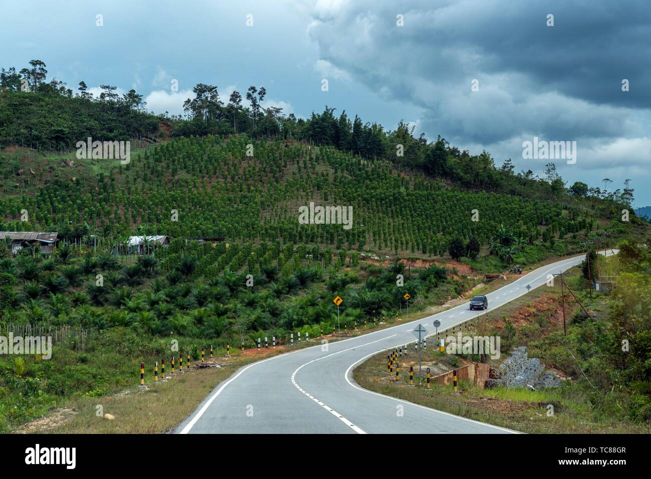 West kalimantan border hi-res stock photography and images - Alamy