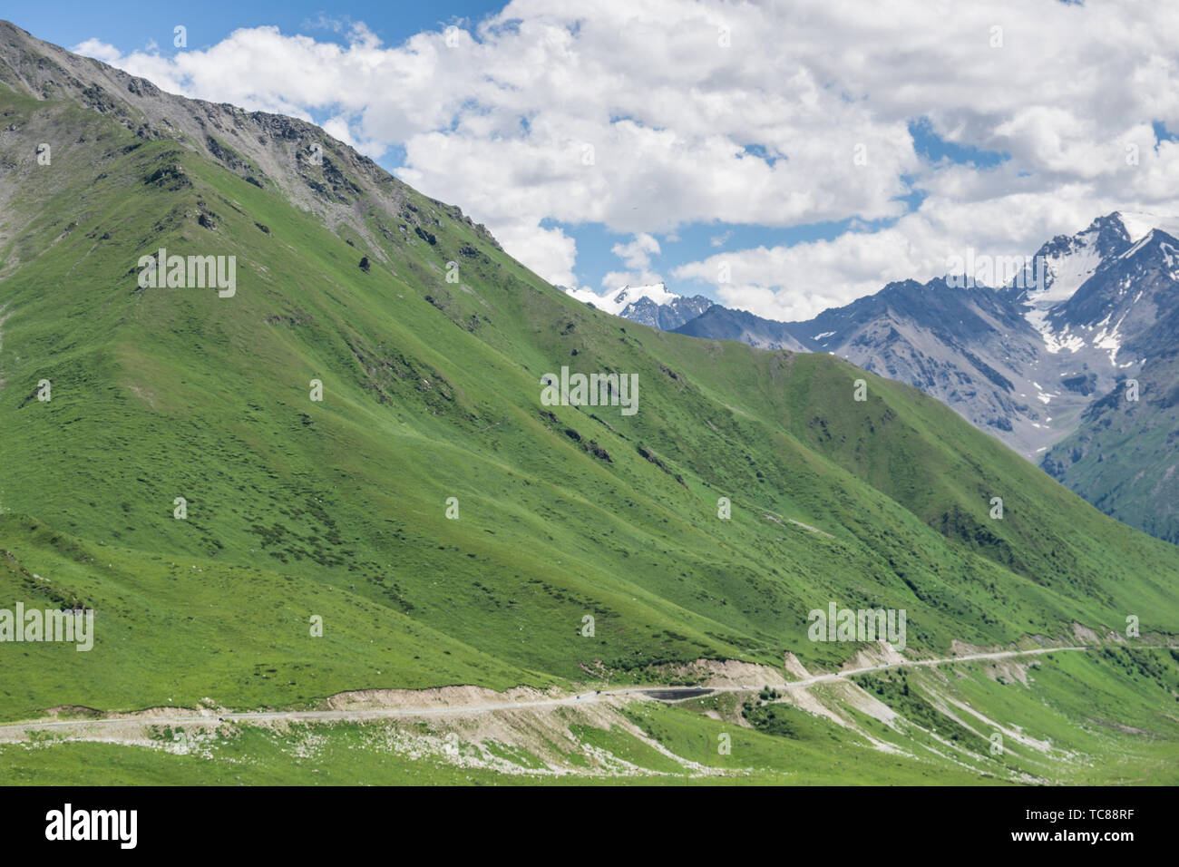 Alpine grasslands along the G217 Duku Highway under the summer blue sky ...