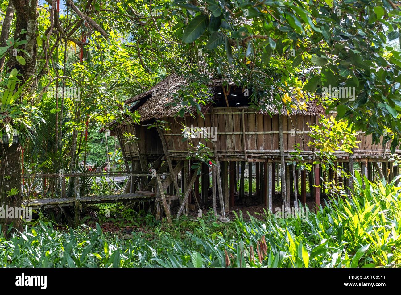 Land dayak bidayuh wooden house hi-res stock photography and images - Alamy