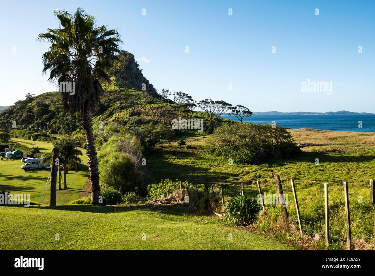 Treasure Island, Pataua, North Island, New Zealand Stock Photo - Alamy