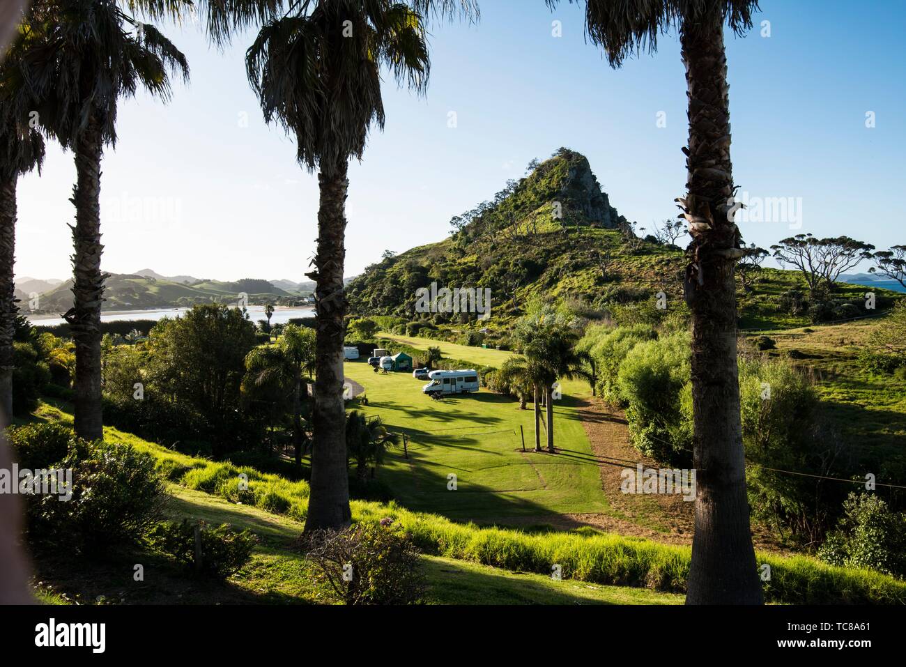 Pataua hi-res stock photography and images - Alamy