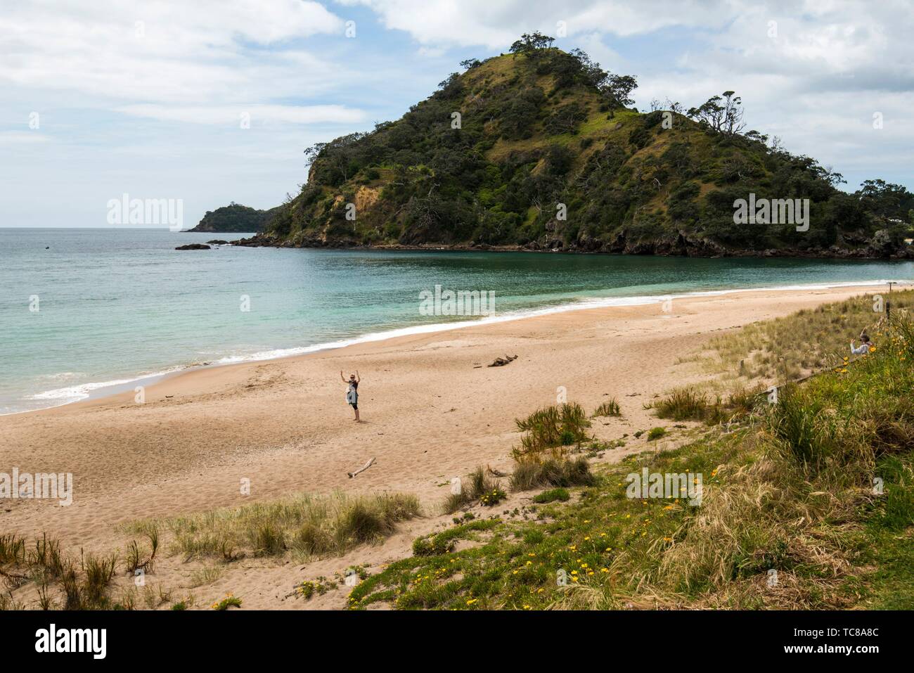 Pataua hi-res stock photography and images - Alamy