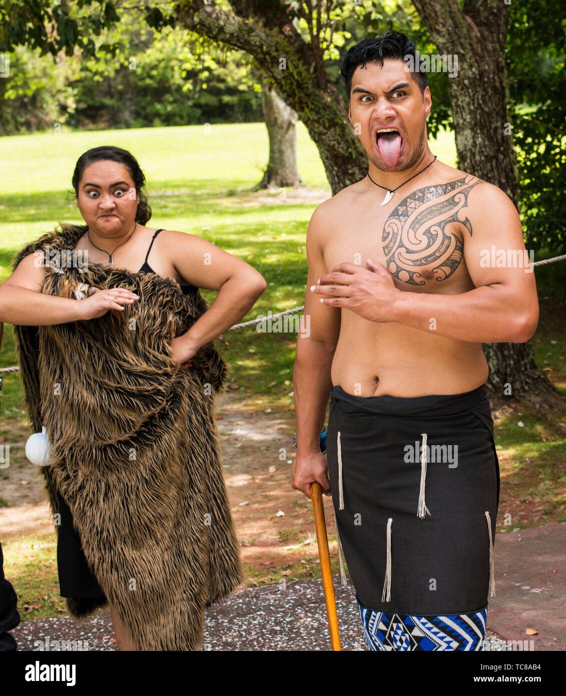 Waitangi treaty ground High Resolution Stock Photography and Images - Alamy