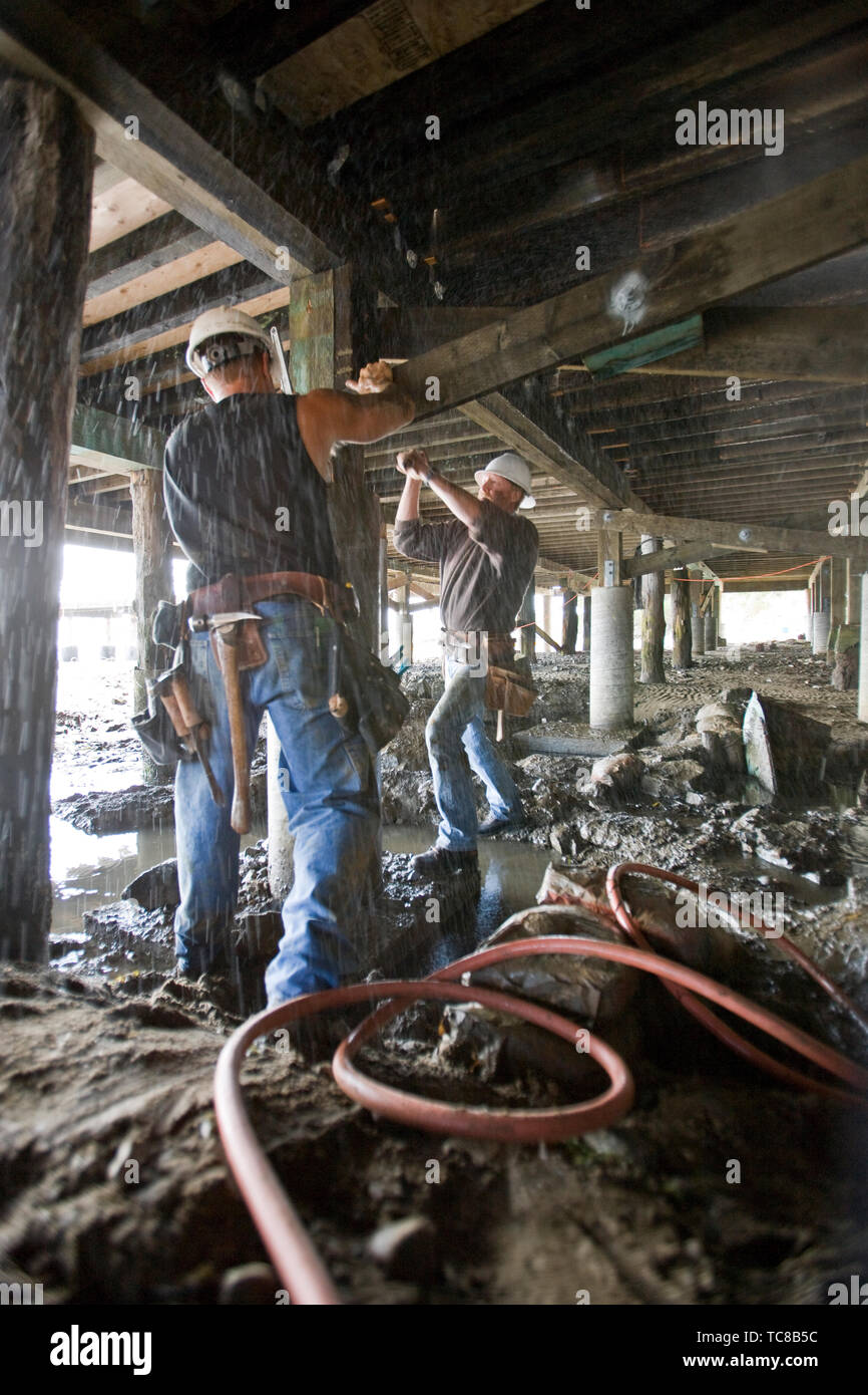 Two male construction workers working underneath a building on a ...