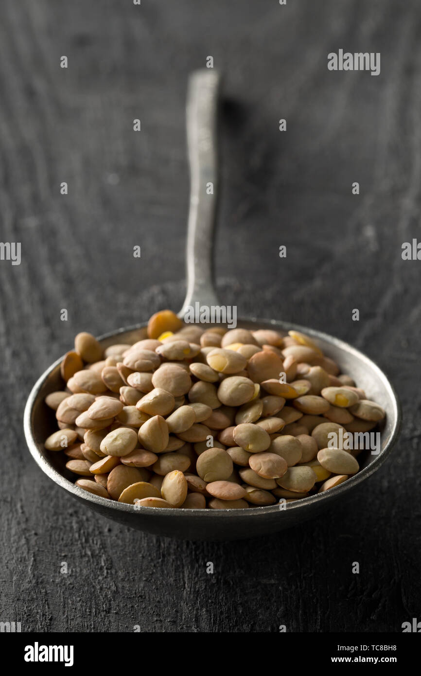 Raw, dry, uncooked brown lentil legumes in metal scoop on rustic wood ...