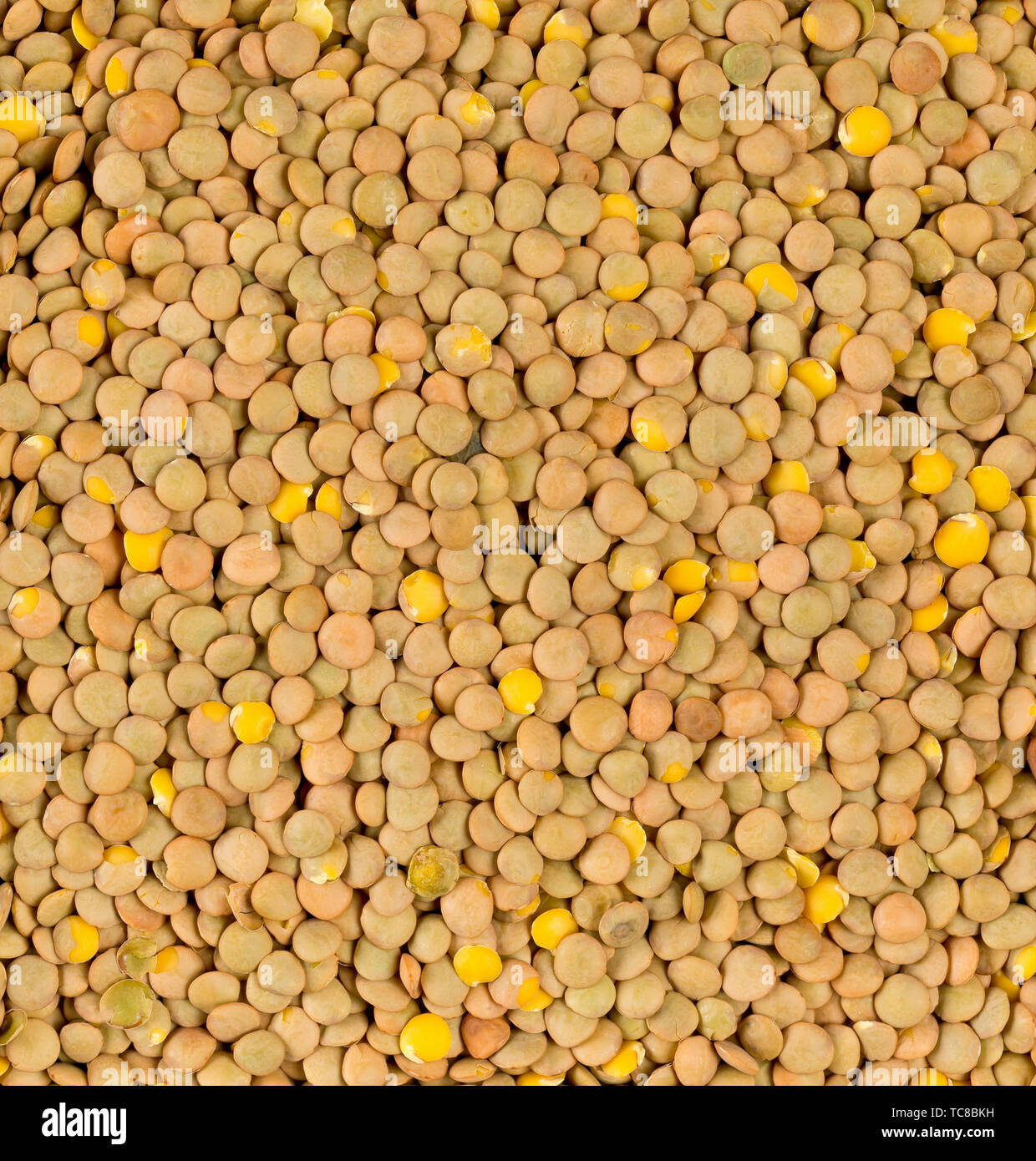 Raw, dry, uncooked brown lentil legumes frame filling macro texture ...